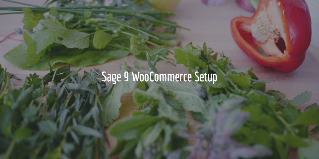 Sage 9 WooCommerce Setup | Imagewize